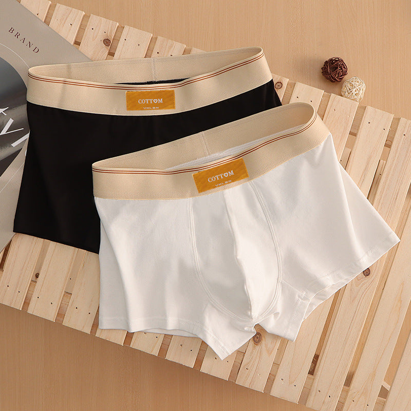 100%COTON pack de 4 – Eavi